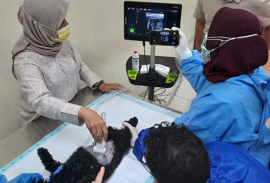 Demo Ultrasonografi di RSHP - RSHP UNAIR